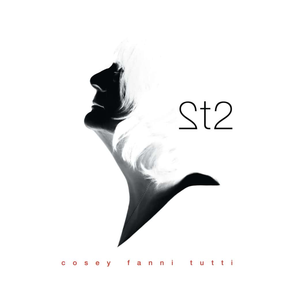 Cosey Fanno Tutti Releases New Single - Soundsphere magazine