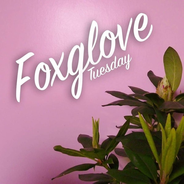 Listen: Foxglove - 'Tuesday' - Soundsphere magazine
