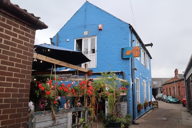 Indie Business Spotlight #1: Zoo Cafe - Soundsphere magazine