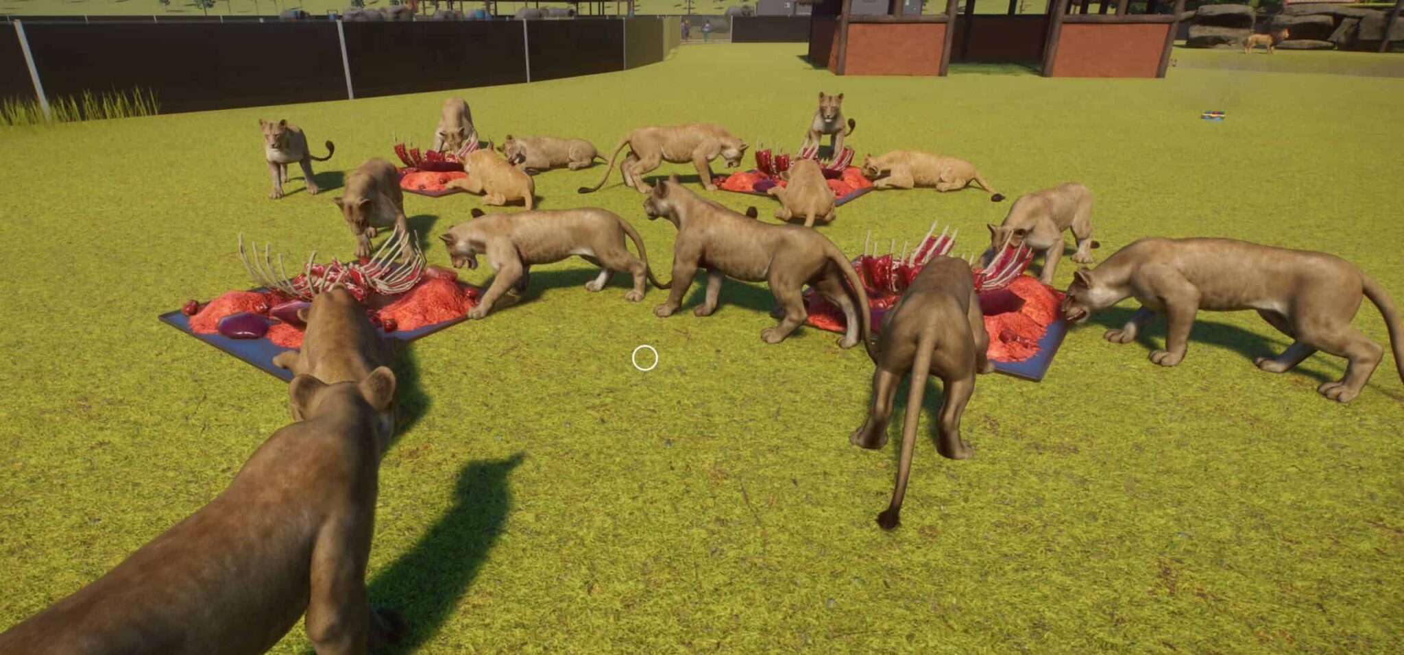 Planet Zoo review - A roaring success - Soundsphere magazine