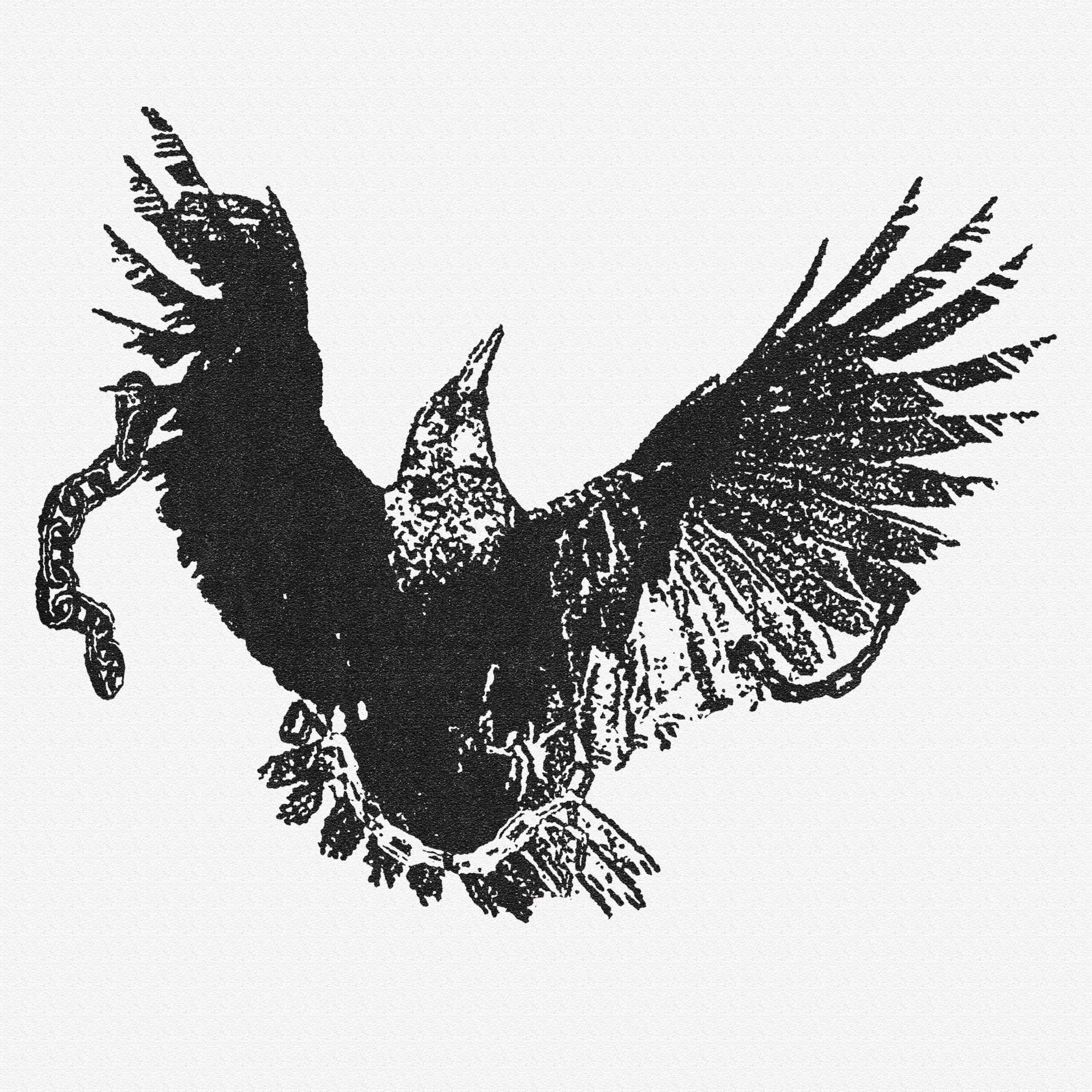 Mannequin Death Squad announce 'Wise and Dangerous' album - Soundsphere ...